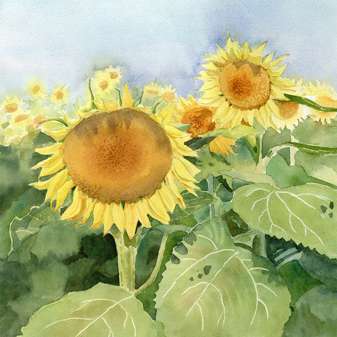 Wendy Millard Art & Design